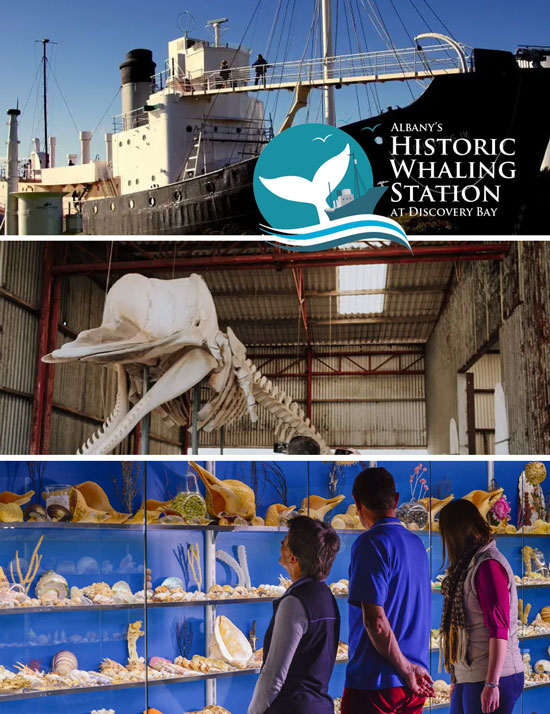 Albany’s Historic Whaling Station