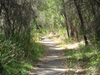 Walks of the South Coast Map